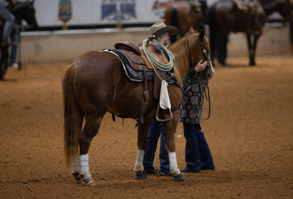 Gold Buckle 2023: Beau Peterson Banks Over $85K, and More Results ...