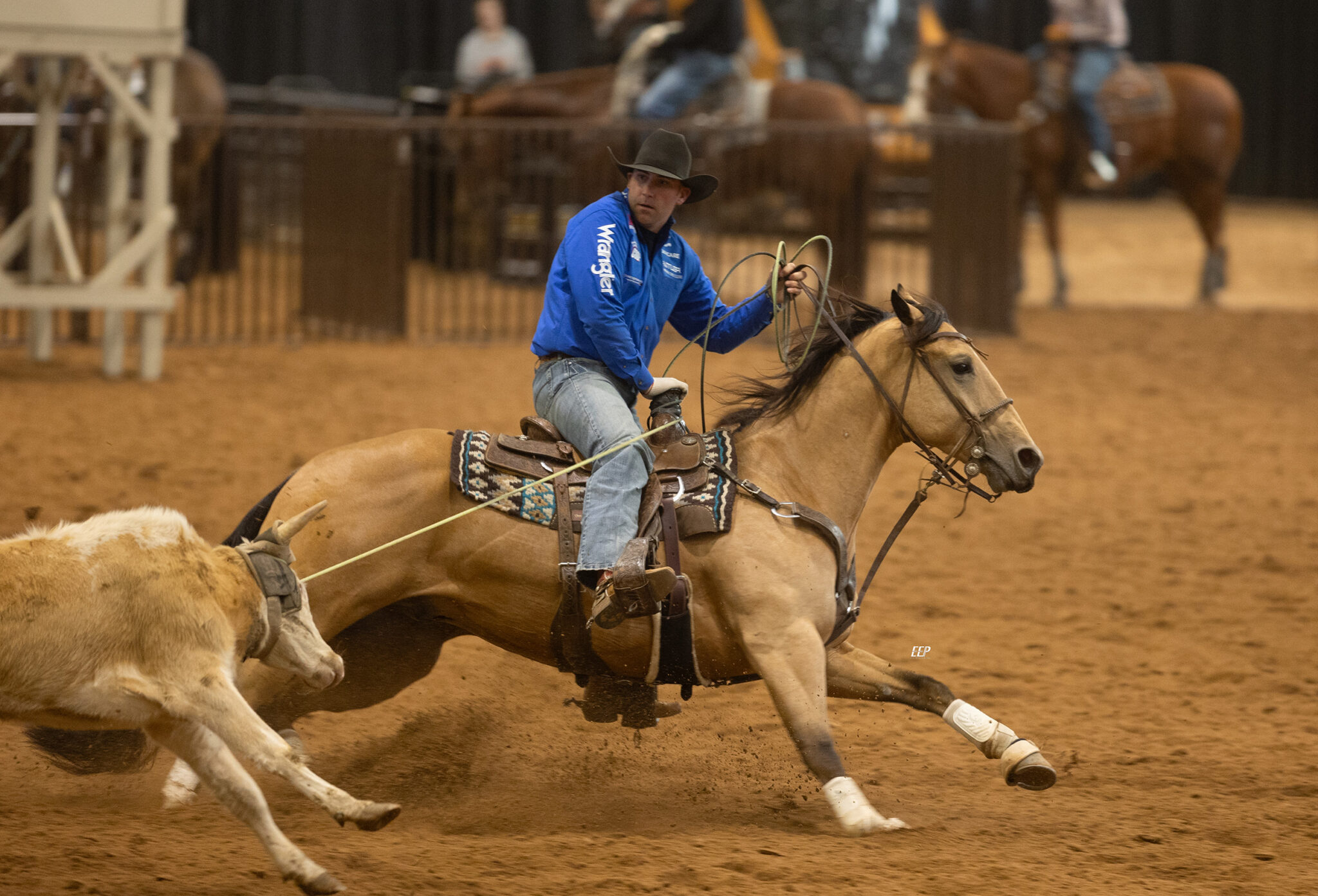Saebens Runs Table for $49K Haul at Gold Buckle with Futurity ...