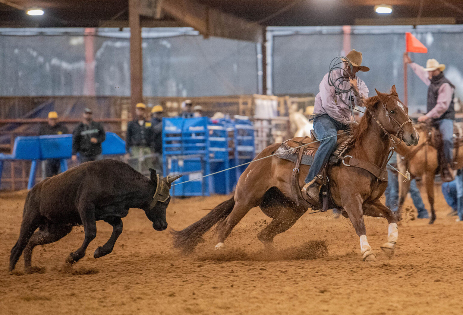 Press - Gold Buckle Futurities