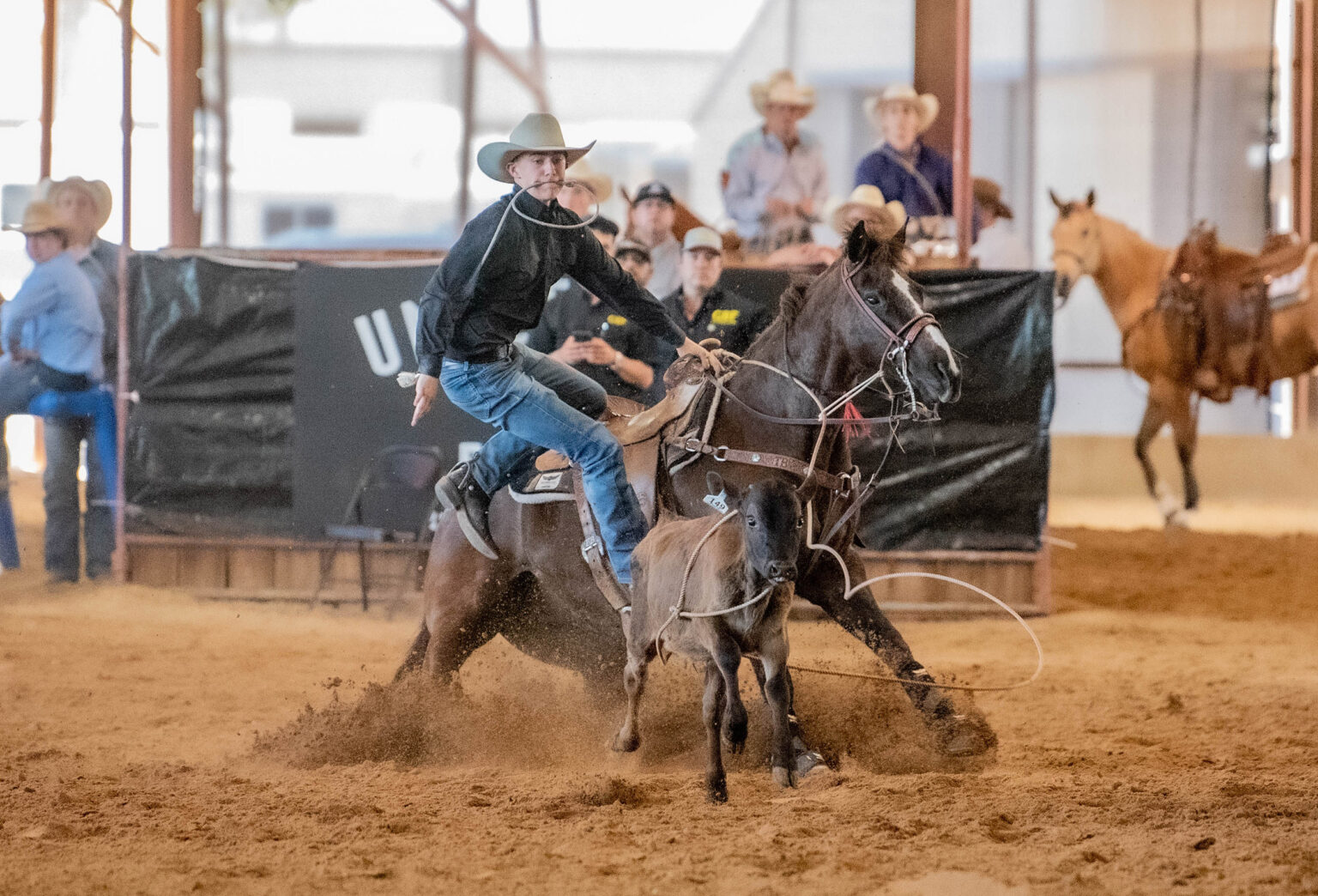 Peterson Banks $86,200 Across Breakaway Maturity, Tie-Down Futurity on ...