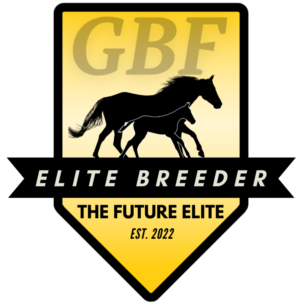 Elite Breeders Gold Buckle Futurities