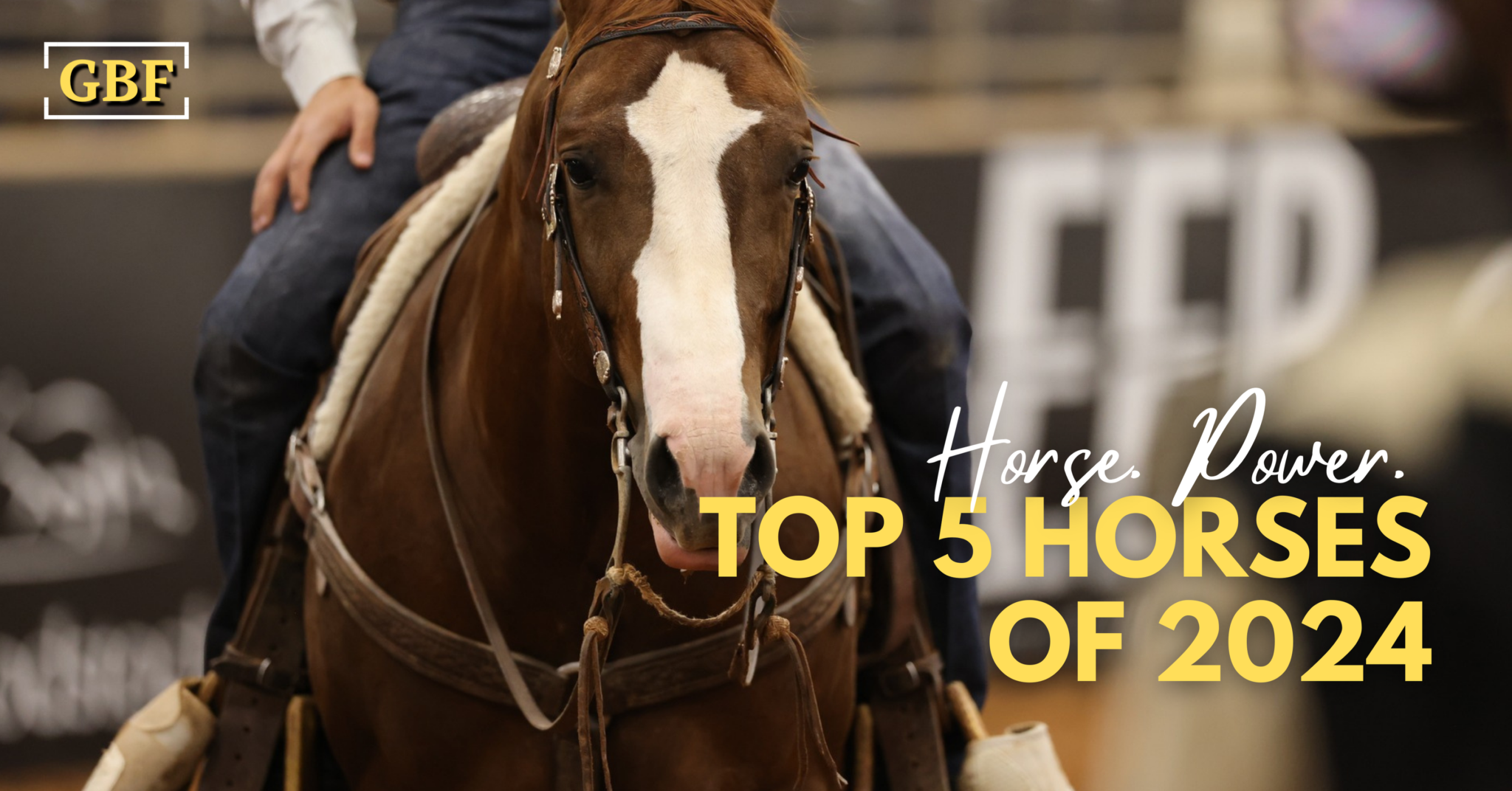 Horse Power - Recognizing the Top 5 Horses of 2024 Gold Buckle ...